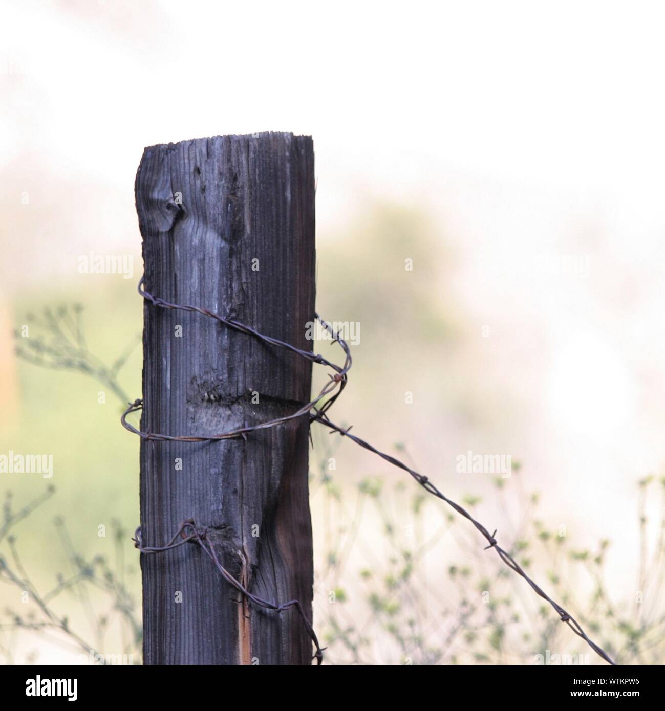 Wire wooden hi-res stock photography and images - Alamy