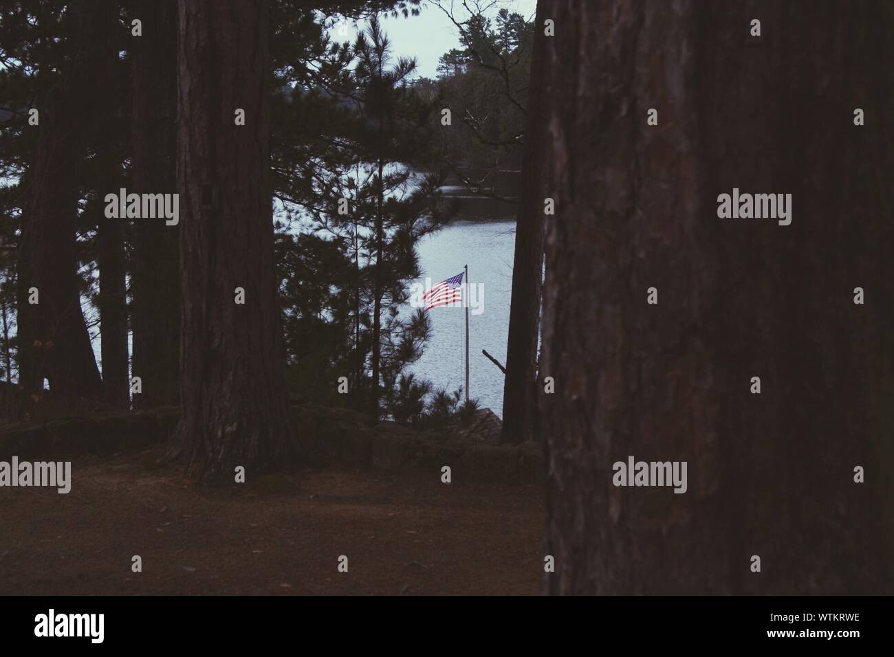 Flag trees hi-res stock photography and images - Alamy