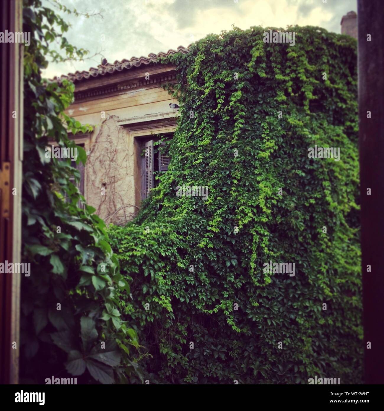 Foliage covered building hi-res stock photography and images - Alamy