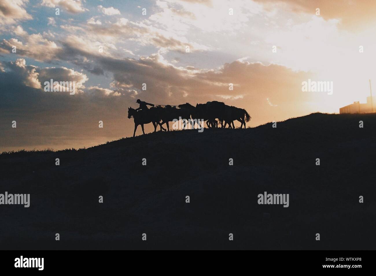 Silhouette man horse against sunset hi-res stock photography and images ...