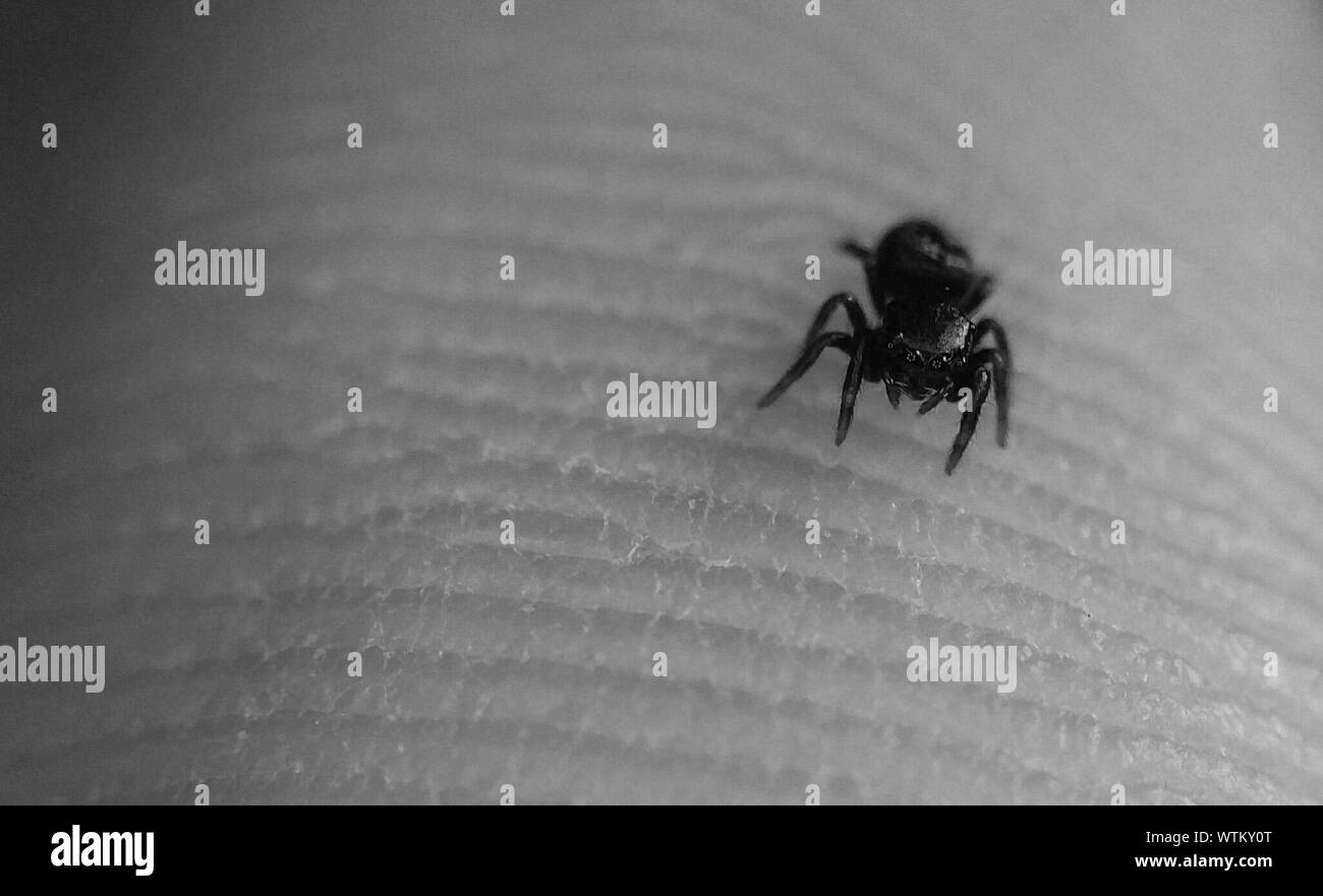 Skin close up human hi-res stock photography and images - Alamy