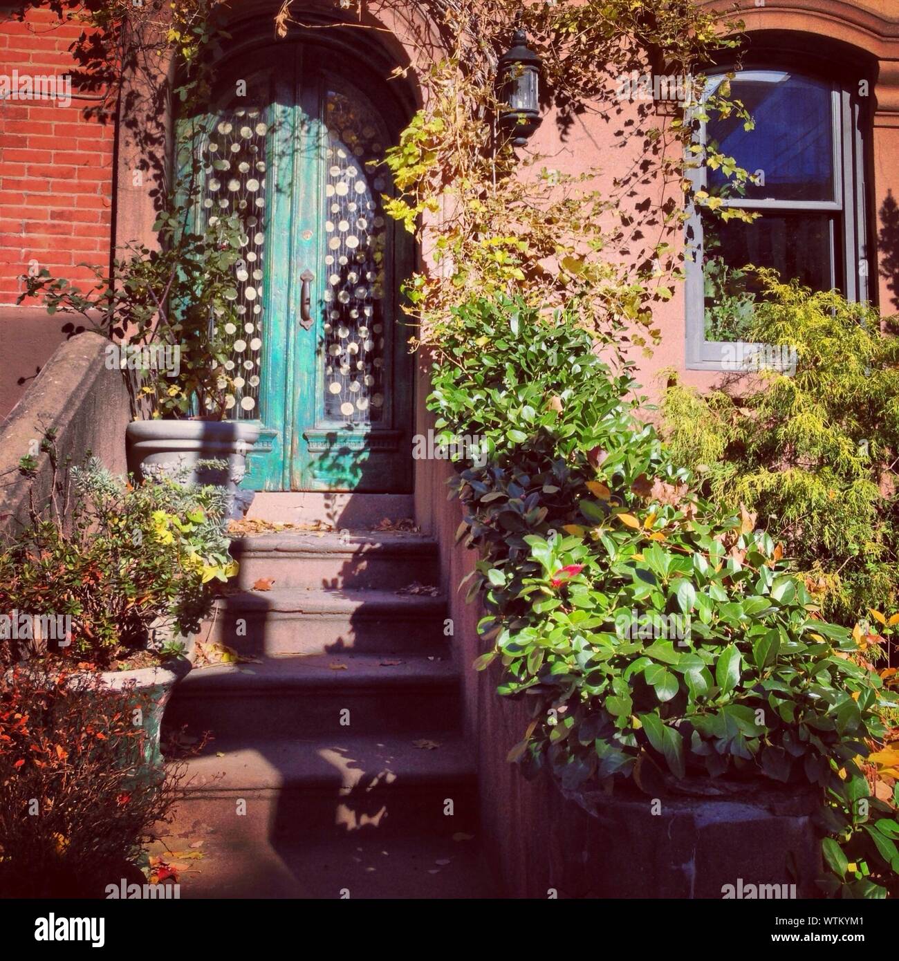 Backyard steps hi-res stock photography and images - Alamy