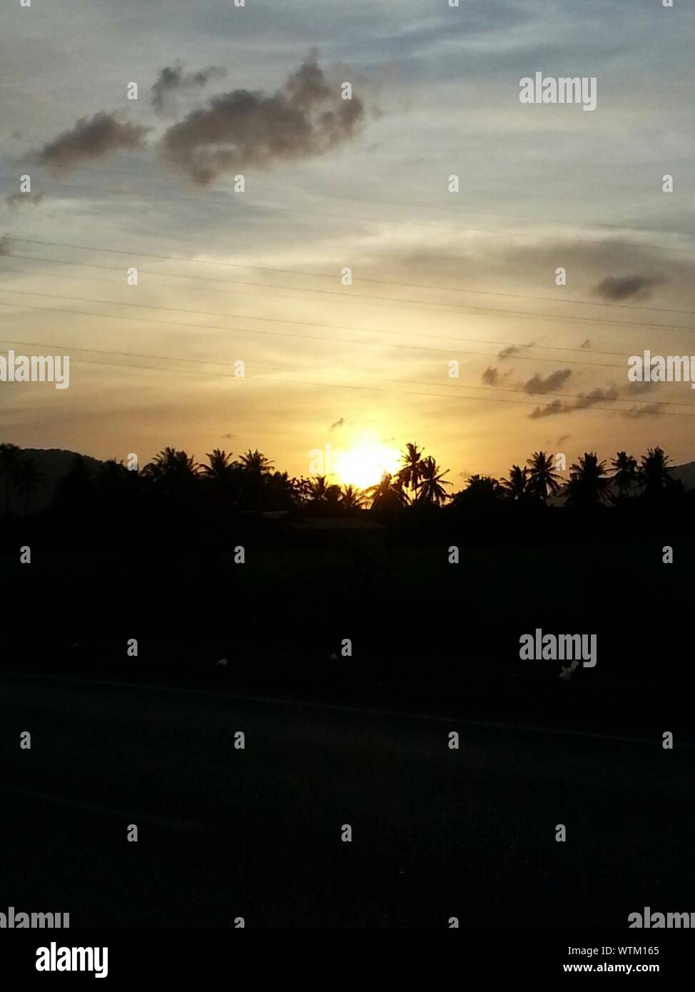 Sunset behind palm trees hi-res stock photography and images - Alamy