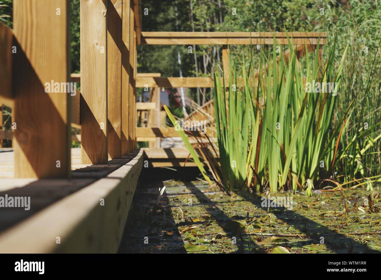 Grass railing hi-res stock photography and images - Alamy