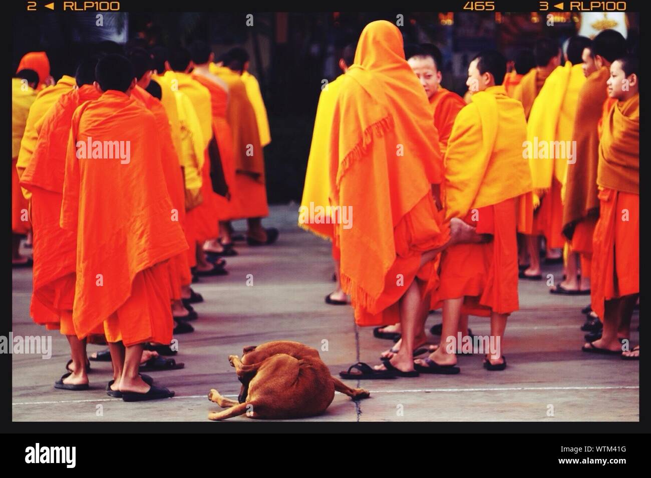 Group of priests or monks hi-res stock photography and images - Alamy