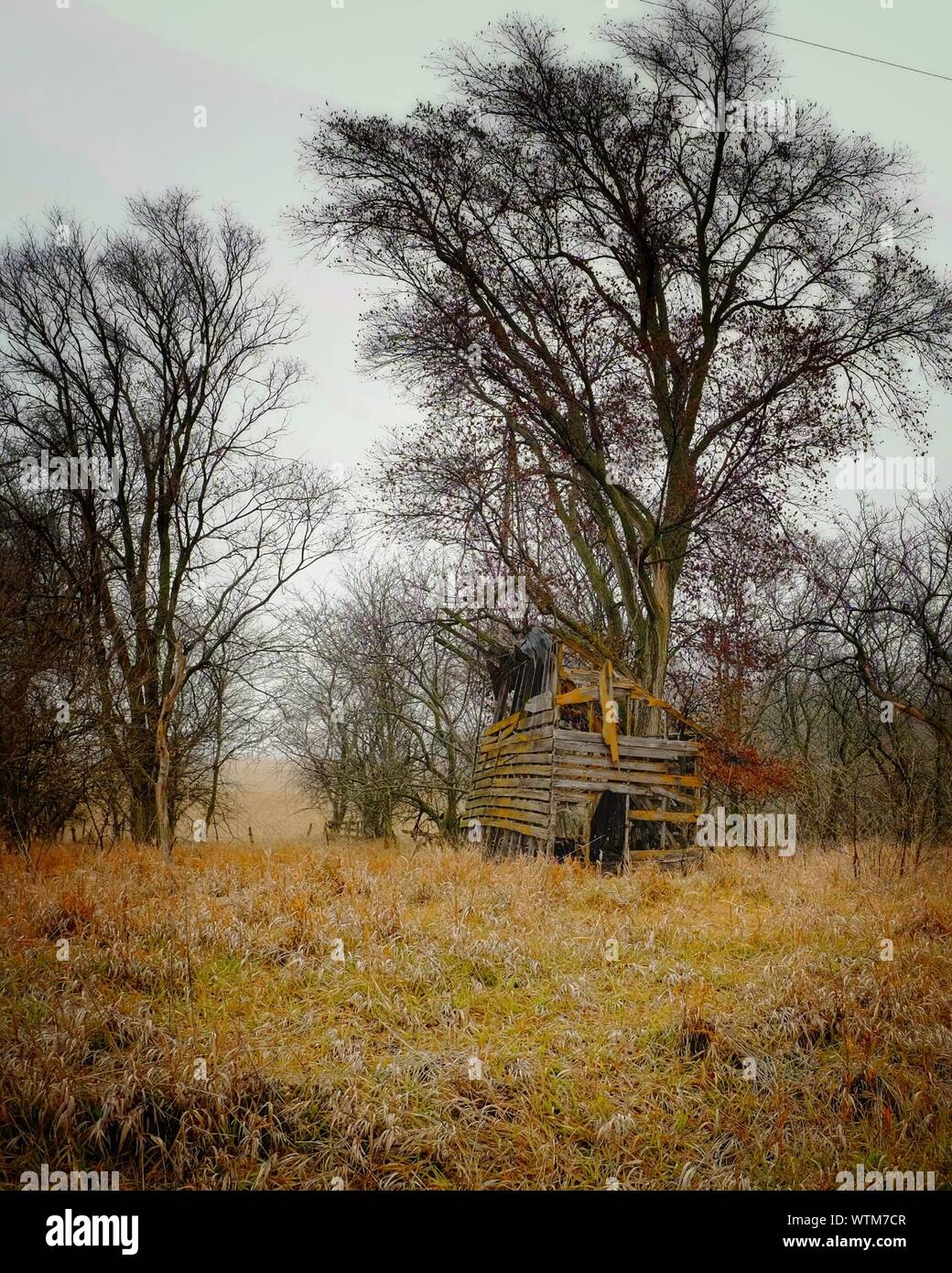 Broken cabin hi-res stock photography and images - Alamy