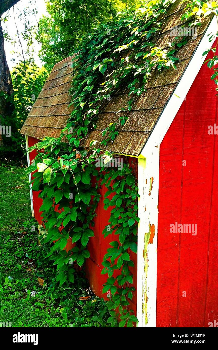 Barn plant hi-res stock photography and images - Alamy