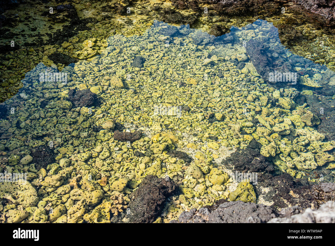 Puako big island hi-res stock photography and images - Alamy