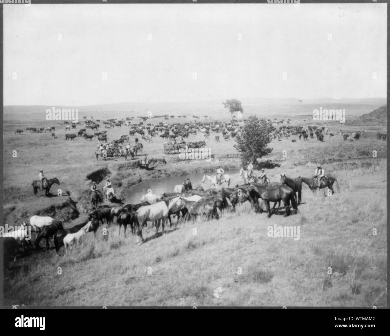 Ranching operation Black and White Stock Photos & Images - Alamy