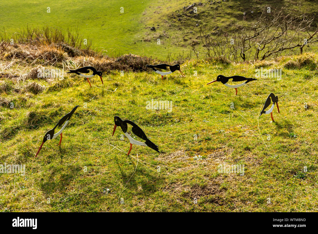 Oystercatchers, a sculpture by Andy Mortley and Lisa McKenna, at the ...