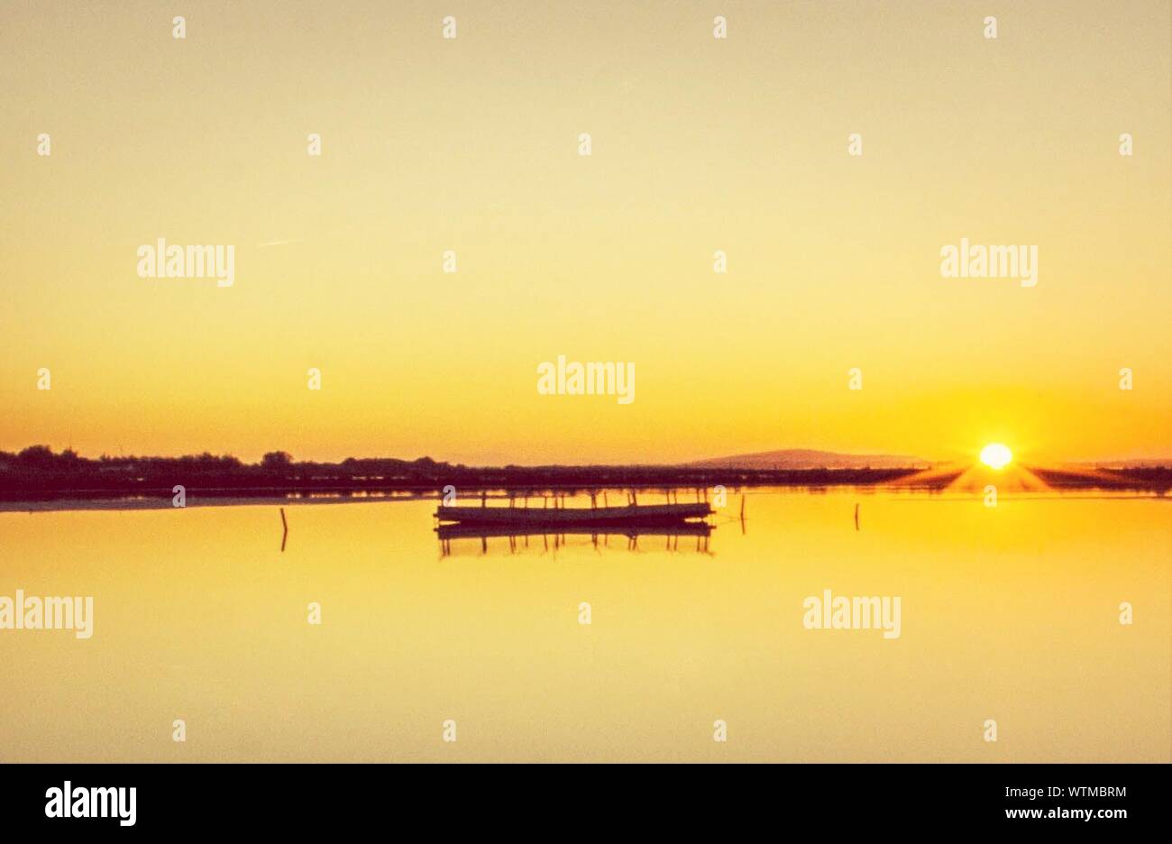 Clam sea hi-res stock photography and images - Alamy