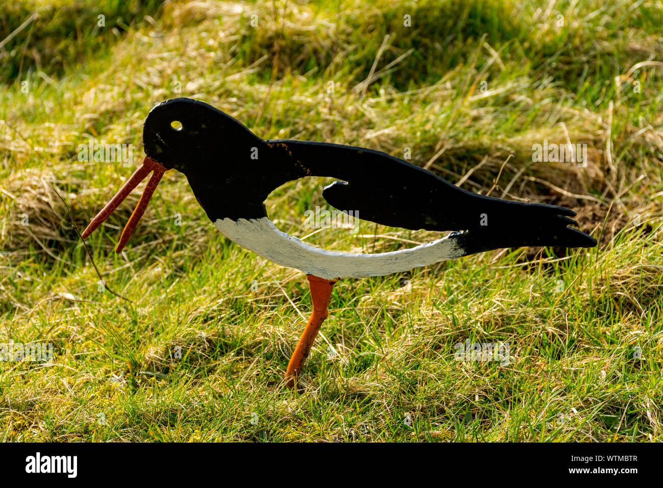 Oystercatchers, a sculpture by Andy Mortley and Lisa McKenna, at the ...