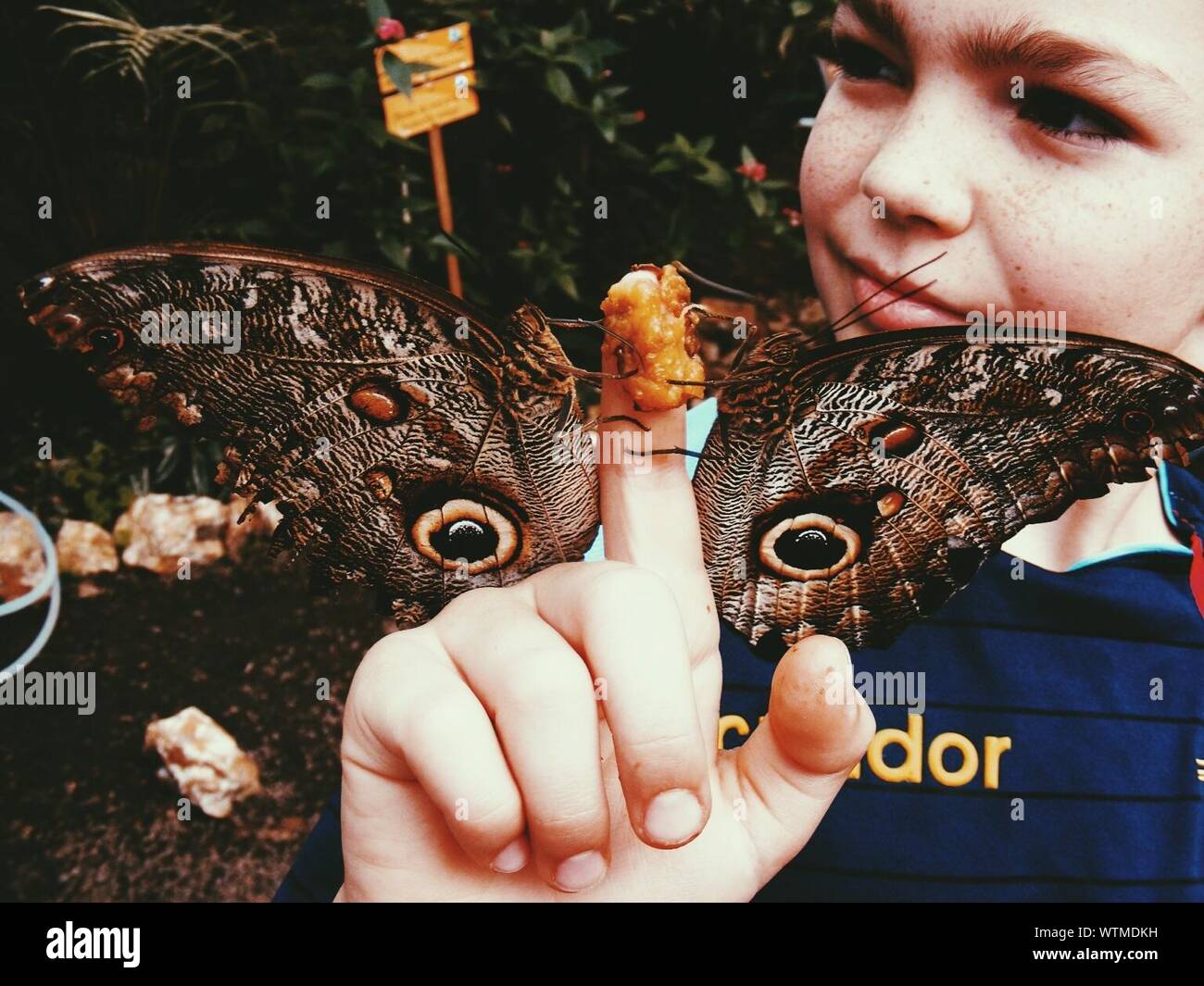Human eating insect hi-res stock photography and images - Alamy