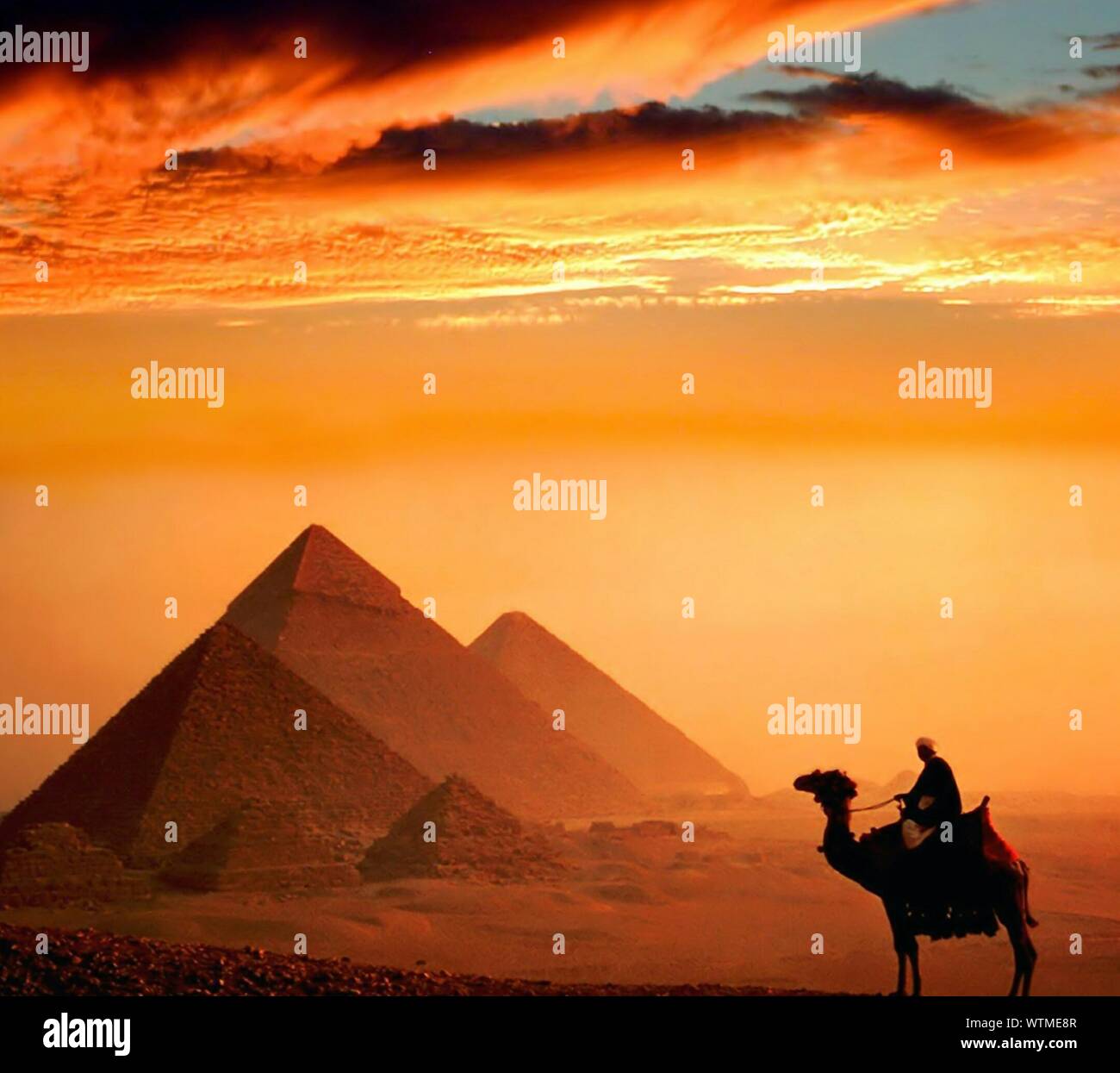 Camel riding at the pyramids hi-res stock photography and images - Alamy