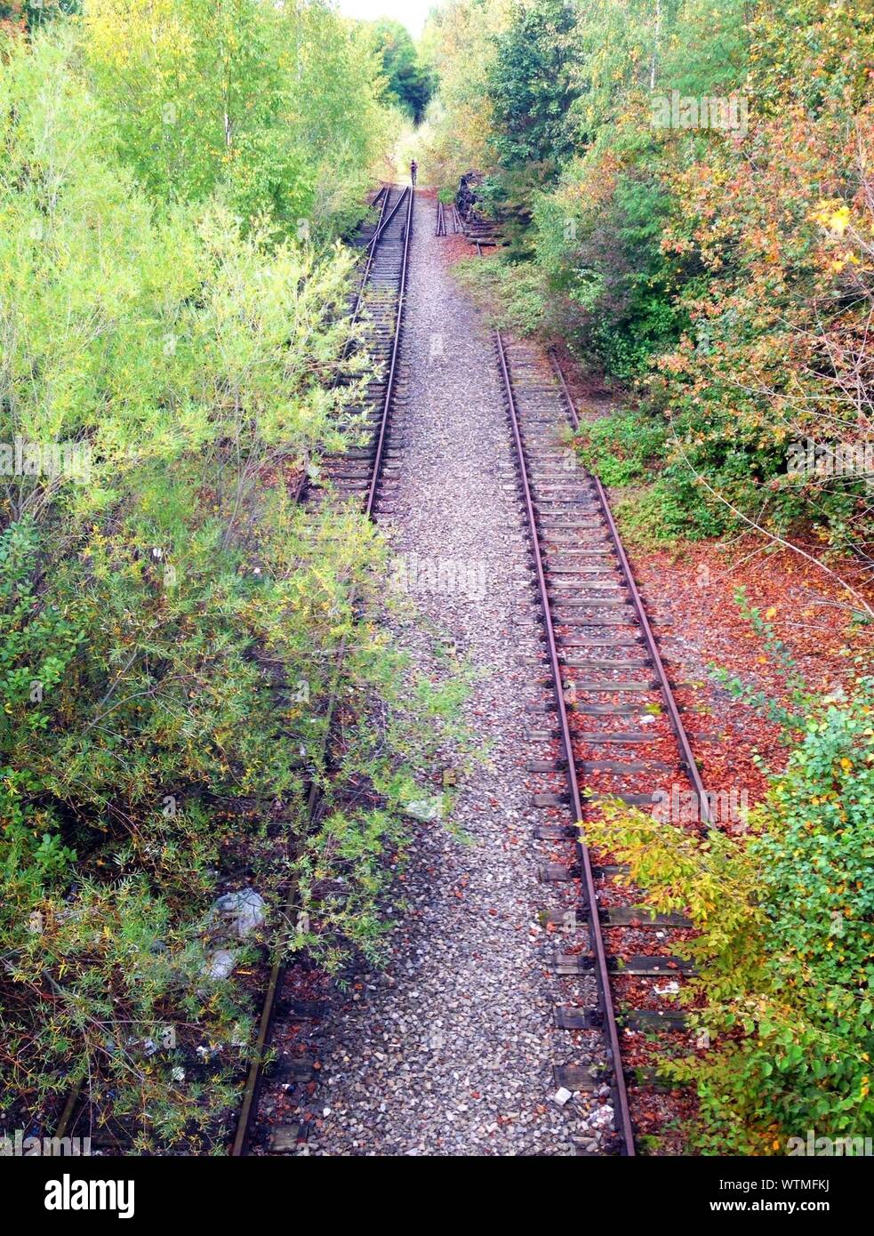 Overgrown railroad track High Resolution Stock Photography and Images - Alamy