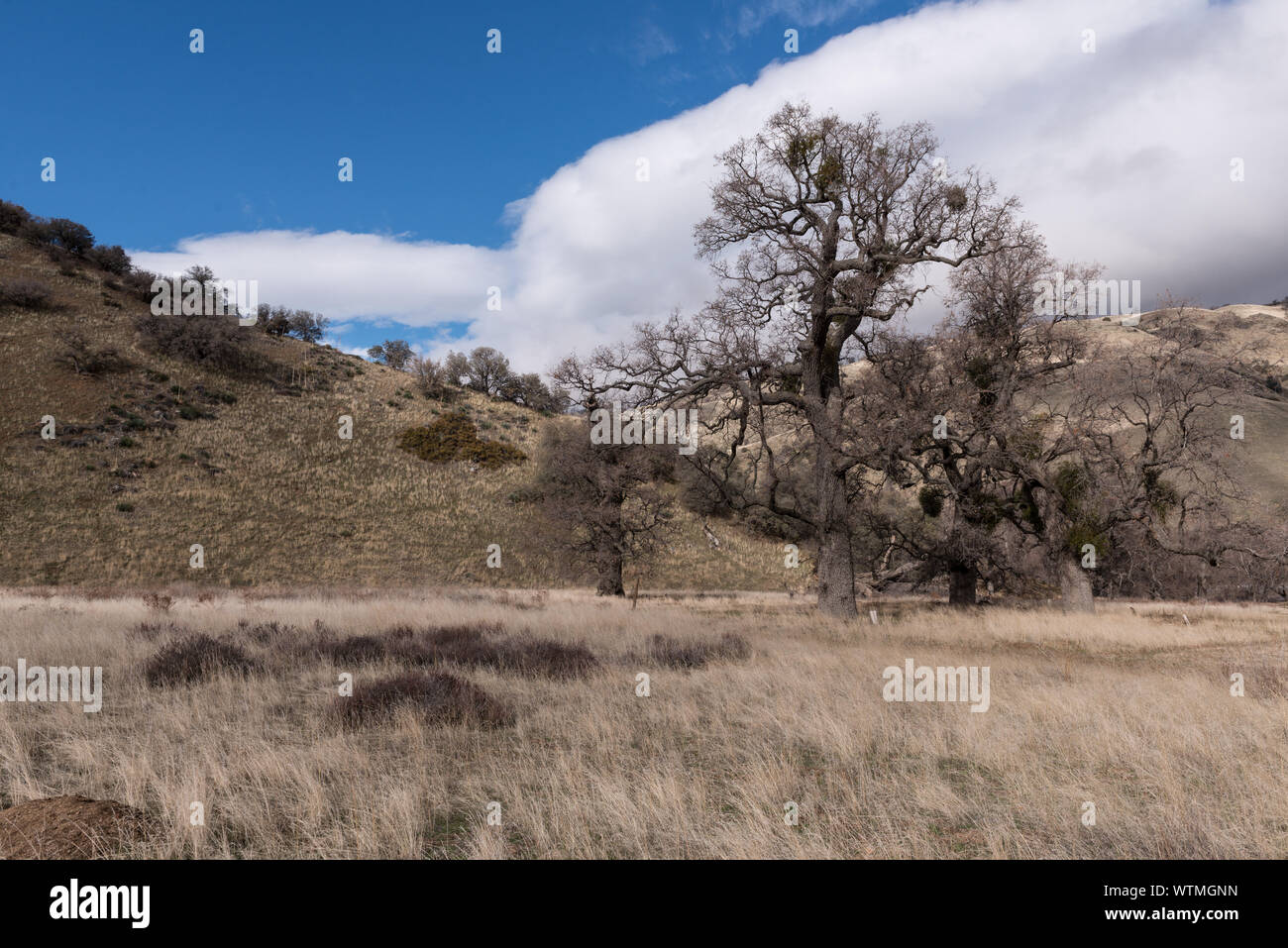 Mountainside scene at Fort Tejon, a California State Historical Park ...