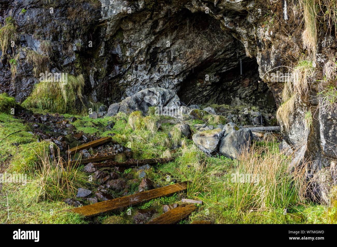 The entrance to the Whisky Cave, on the Treshnish Peninsula coast walk ...