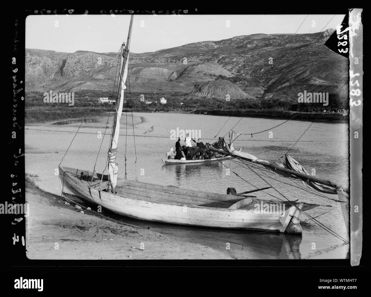 Alexandretta hi-res stock photography and images - Alamy