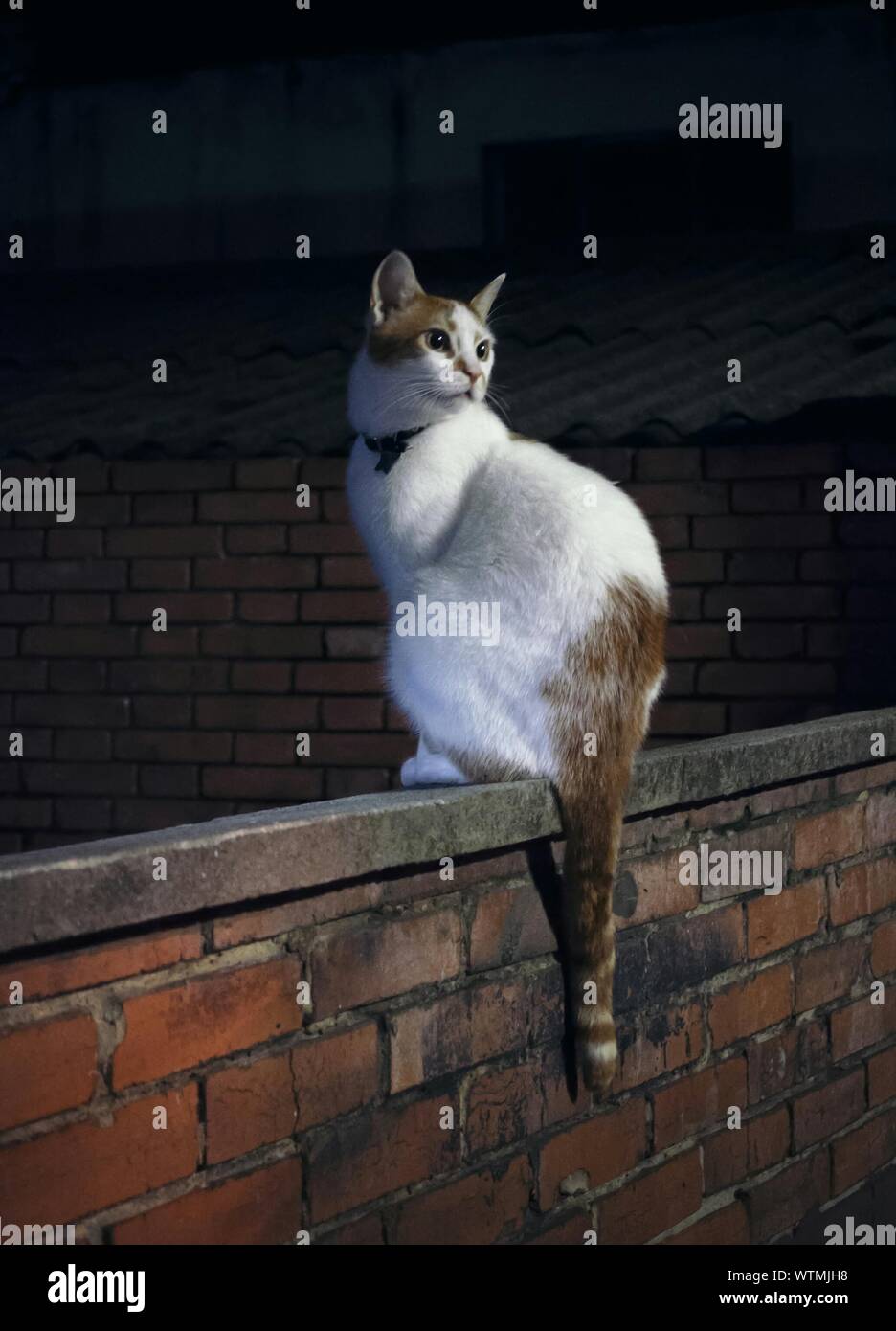Ledge night hi-res stock photography and images - Alamy
