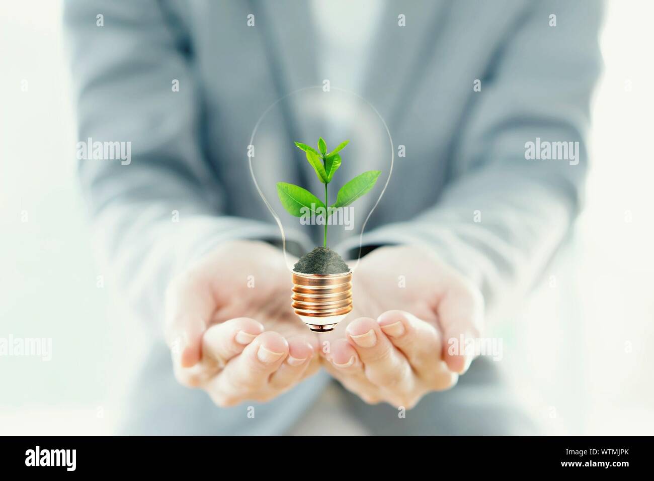 Bult hi-res stock photography and images - Alamy
