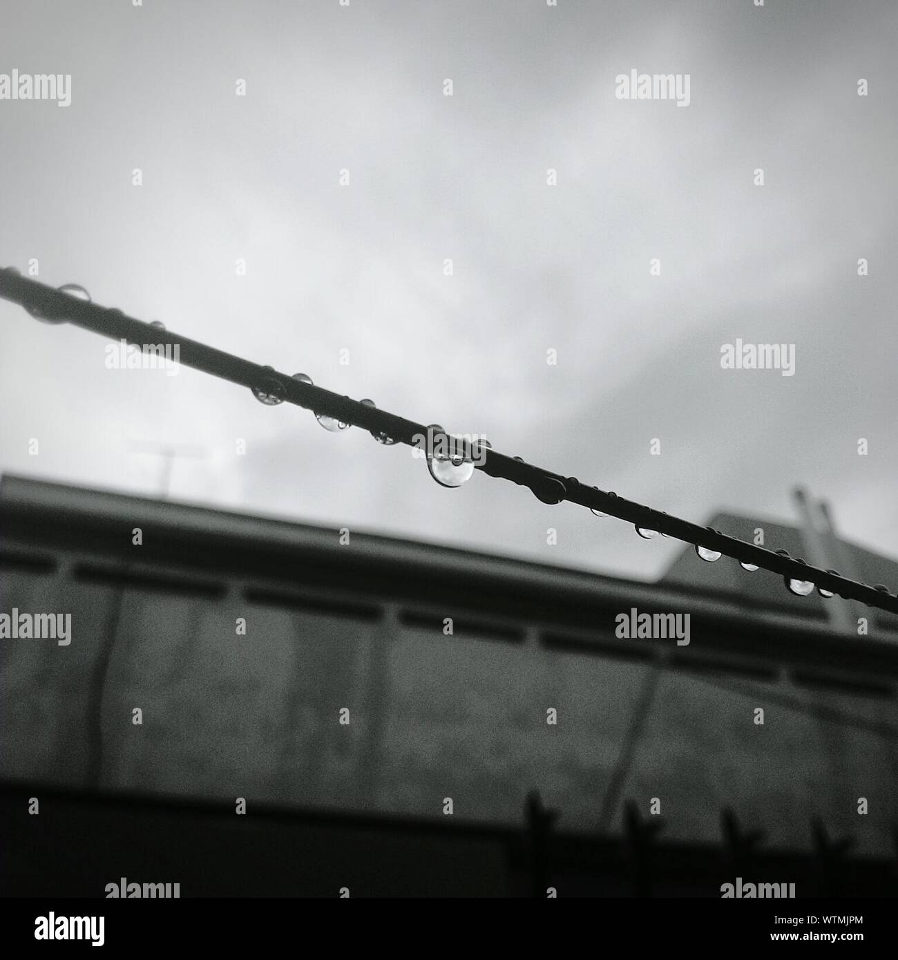 Wire and water hi-res stock photography and images - Alamy