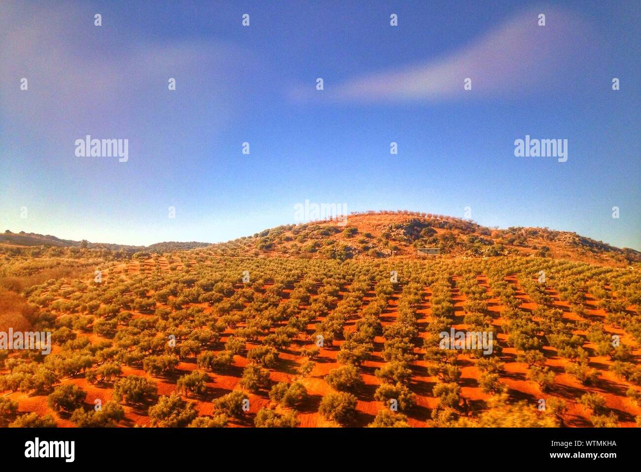 Soil fruit tree hi-res stock photography and images - Alamy