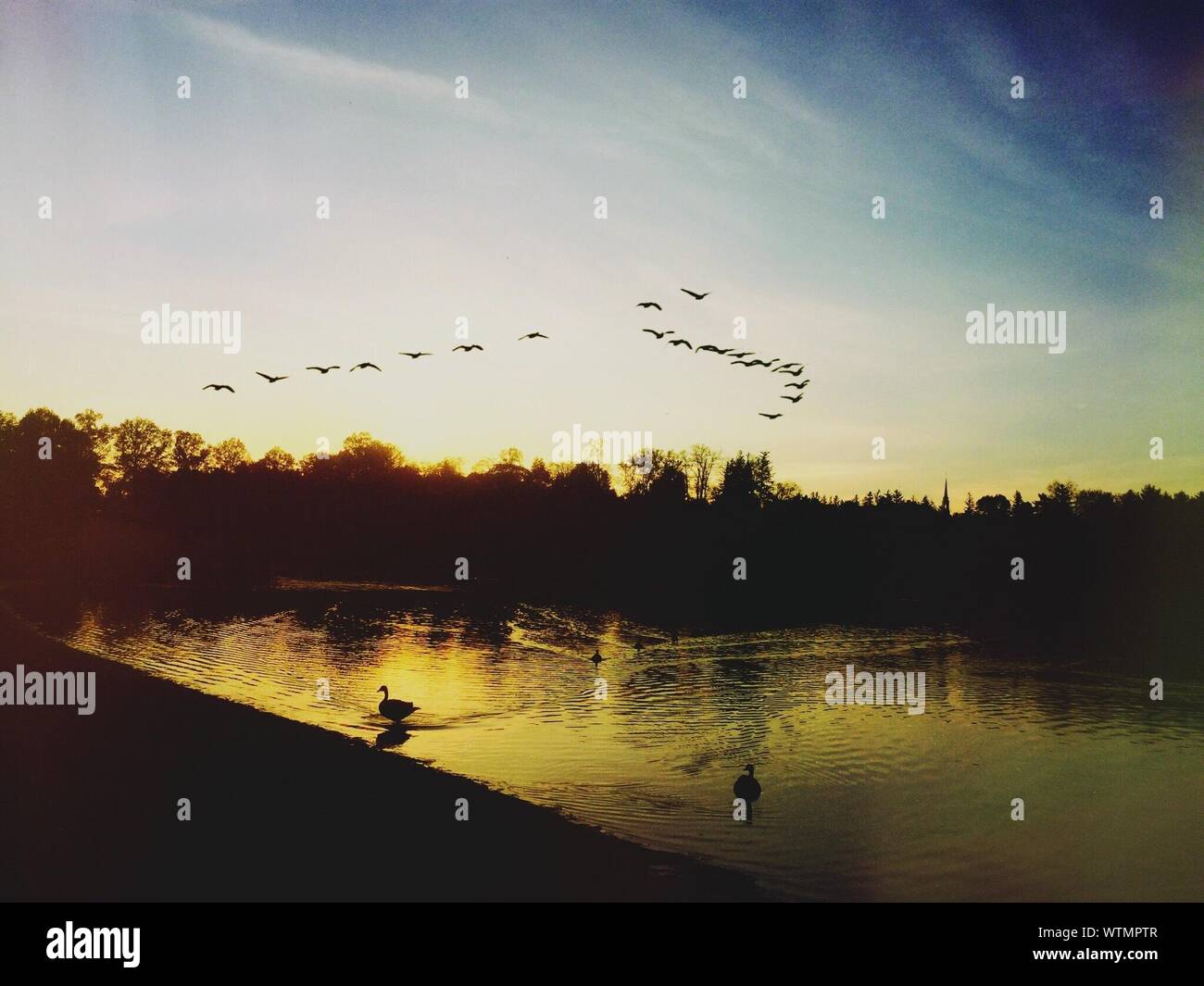 Formation birds hi-res stock photography and images - Alamy