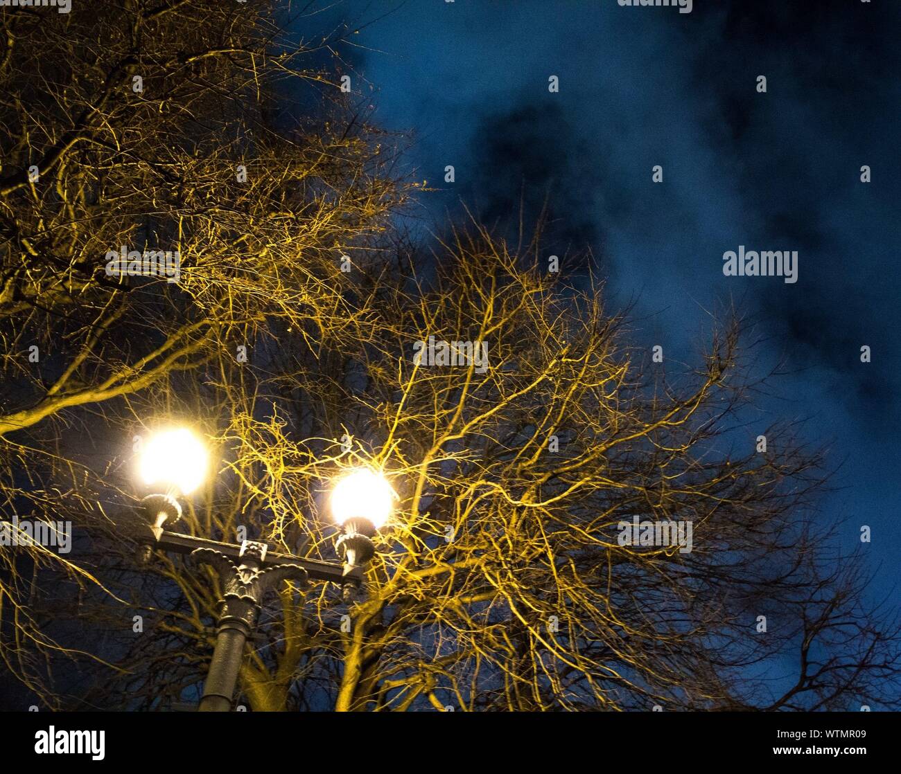 High Section Of Lit Lamp Post Against Trees Stock Photo - Alamy