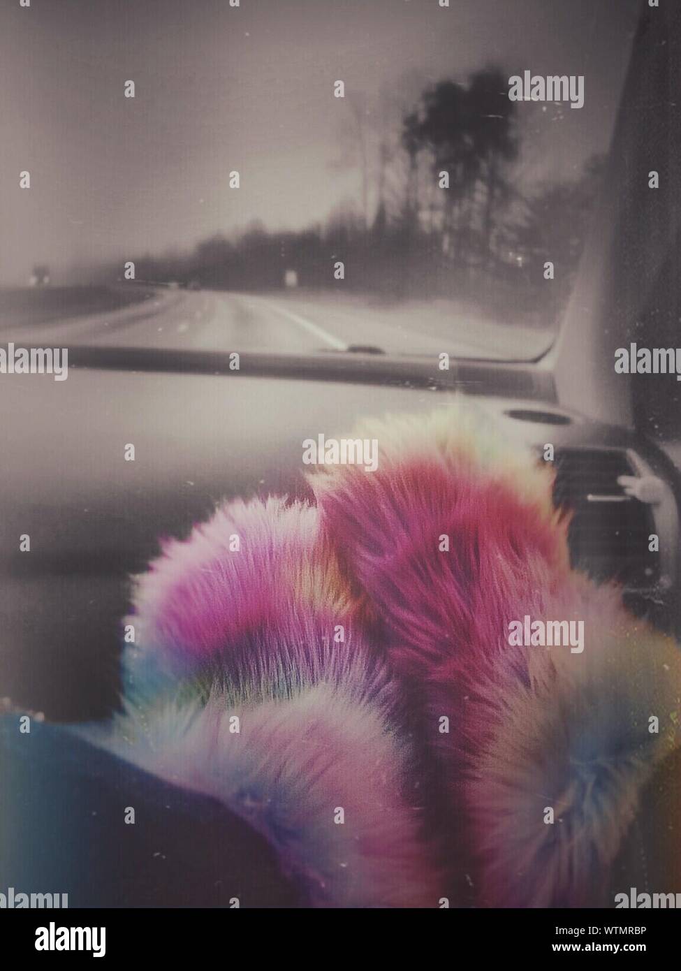 Multi colored duster hi-res stock photography and images - Alamy