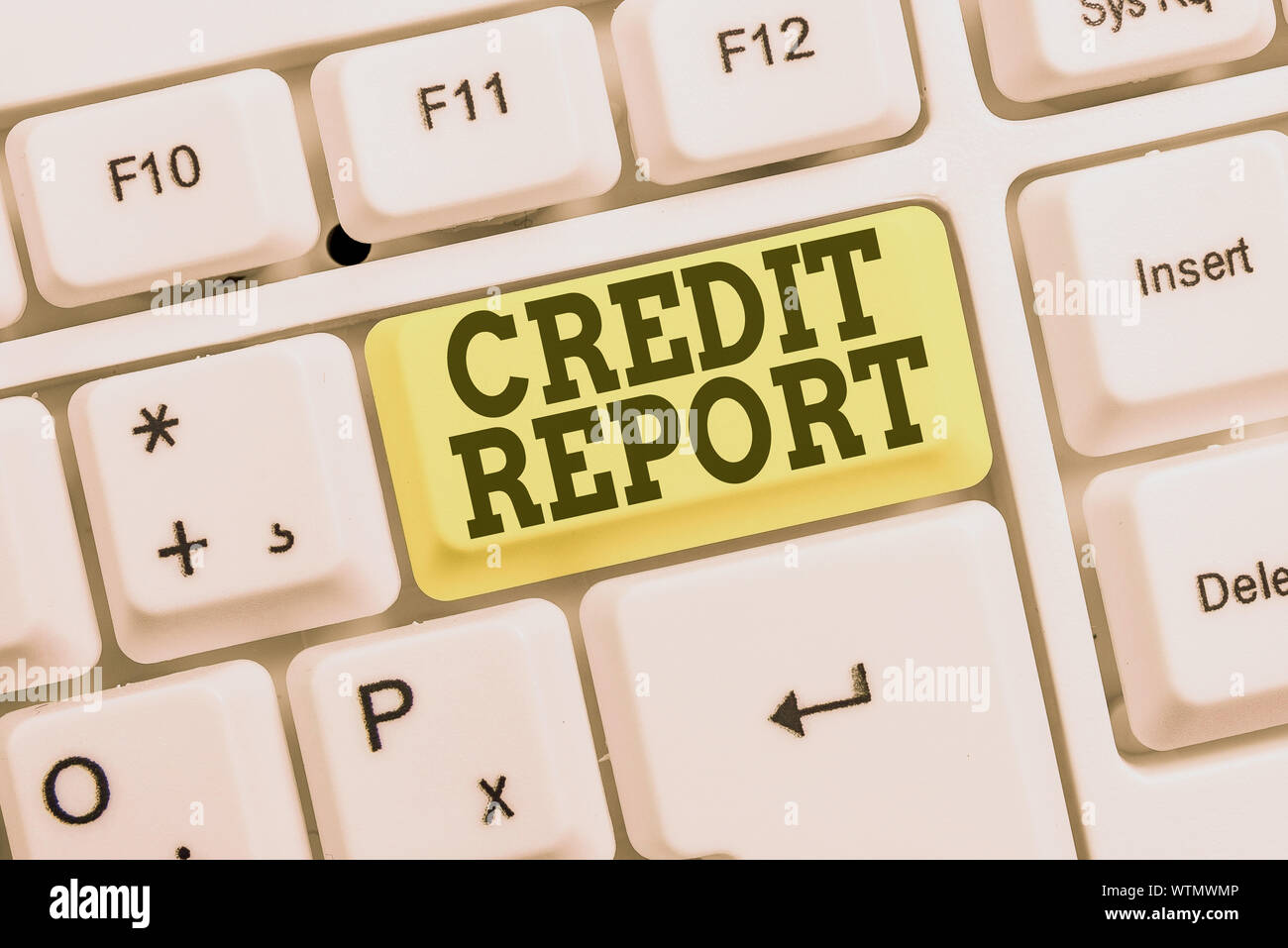 Conceptual hand writing showing Credit Report. Concept meaning ...