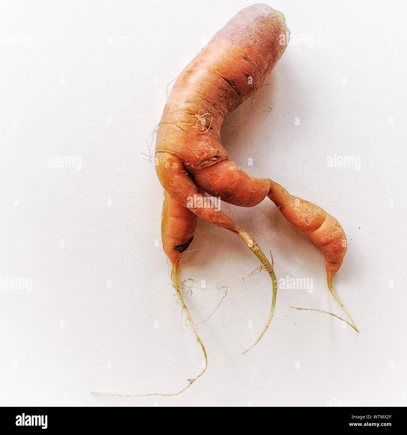 White Mutant High Resolution Stock Photography and Images - Alamy