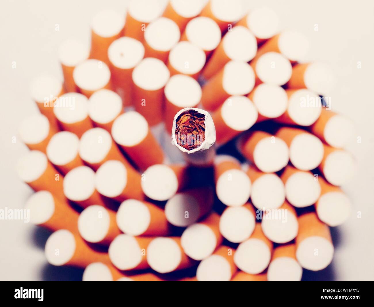 Close up cigarettes hi-res stock photography and images - Alamy