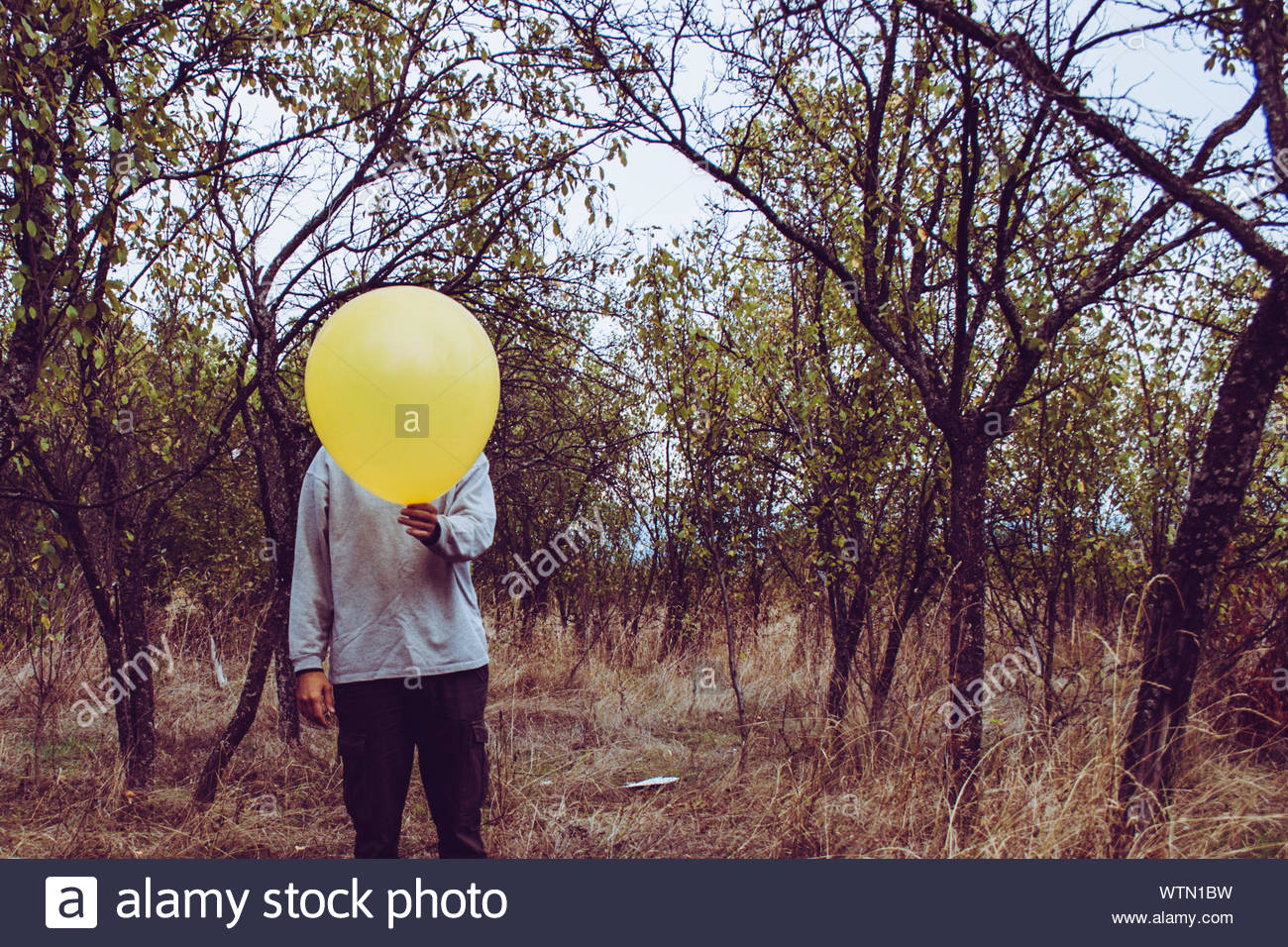 Man Hiding In Tree High Resolution Stock Photography and Images - Alamy
