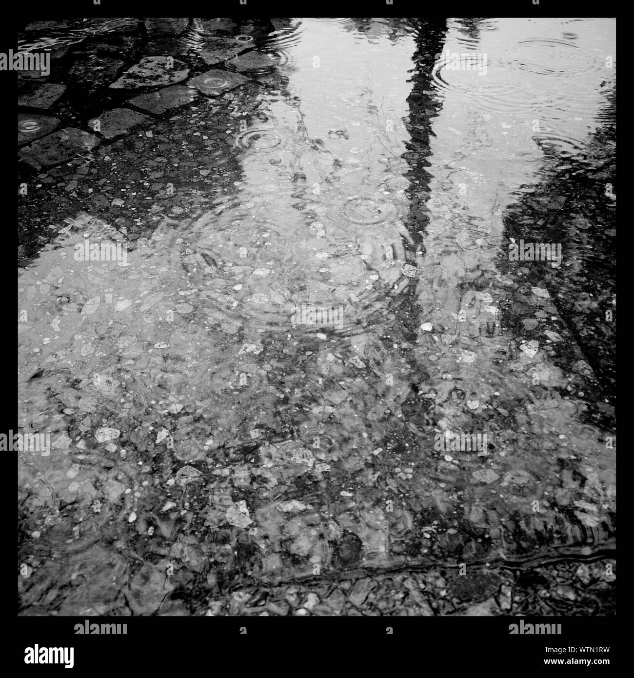 Puddle raindrop Black and White Stock Photos & Images - Alamy