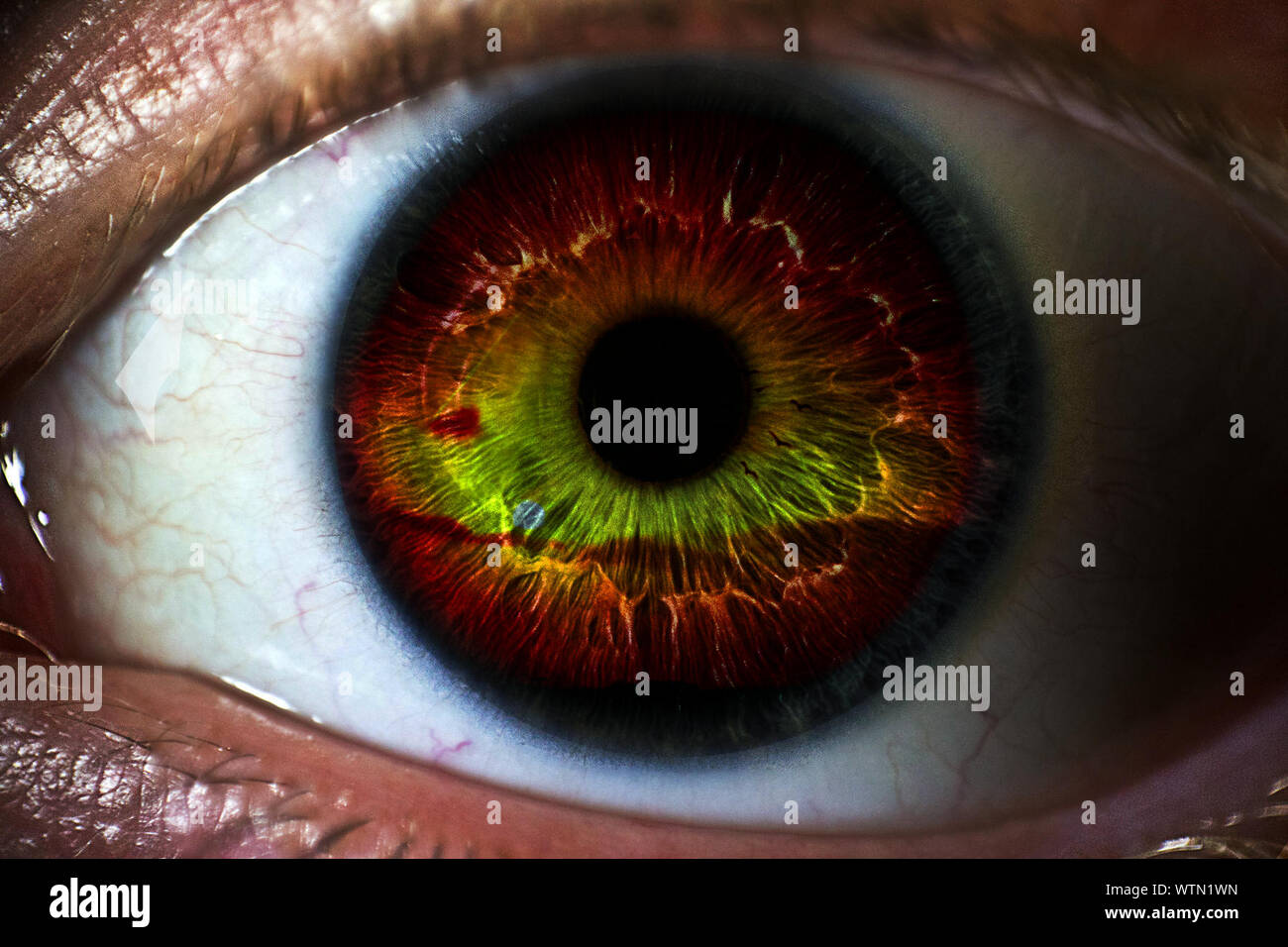 Human eye view hi-res stock photography and images - Alamy