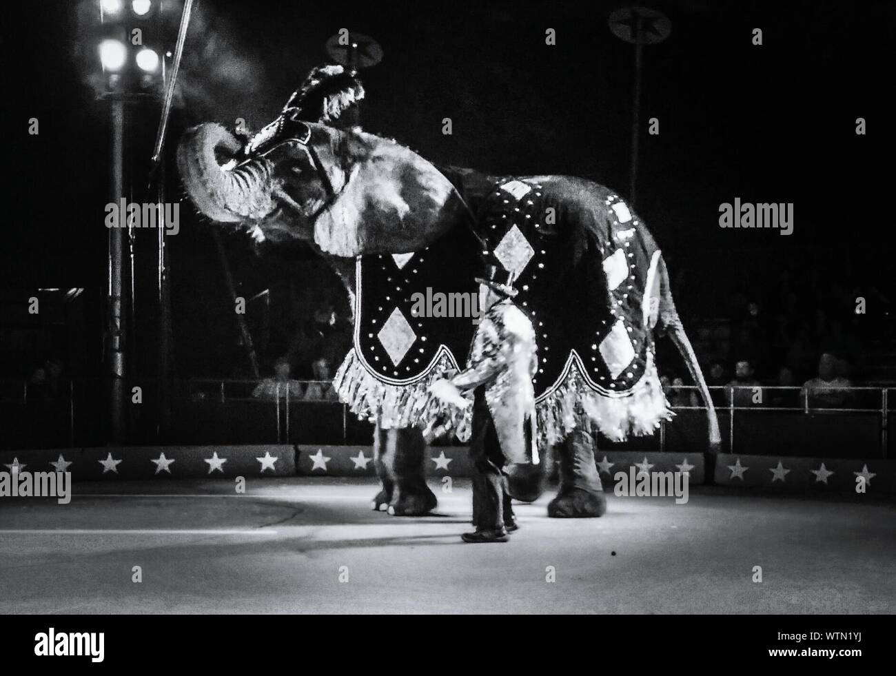 Arts culture and entertainment performance circus tent audience circus ...