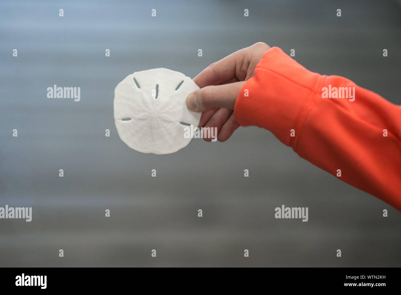 Hand holding object foreground hi-res stock photography and images - Alamy