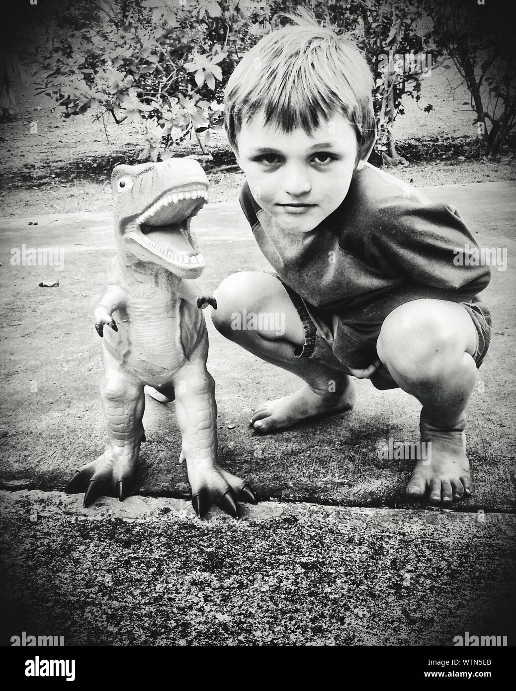 Crouching animal hi-res stock photography and images - Alamy