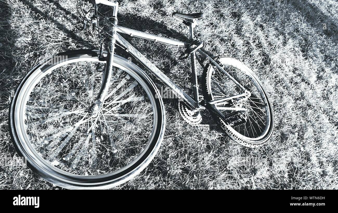 Left Alone High Resolution Stock Photography and Images - Alamy