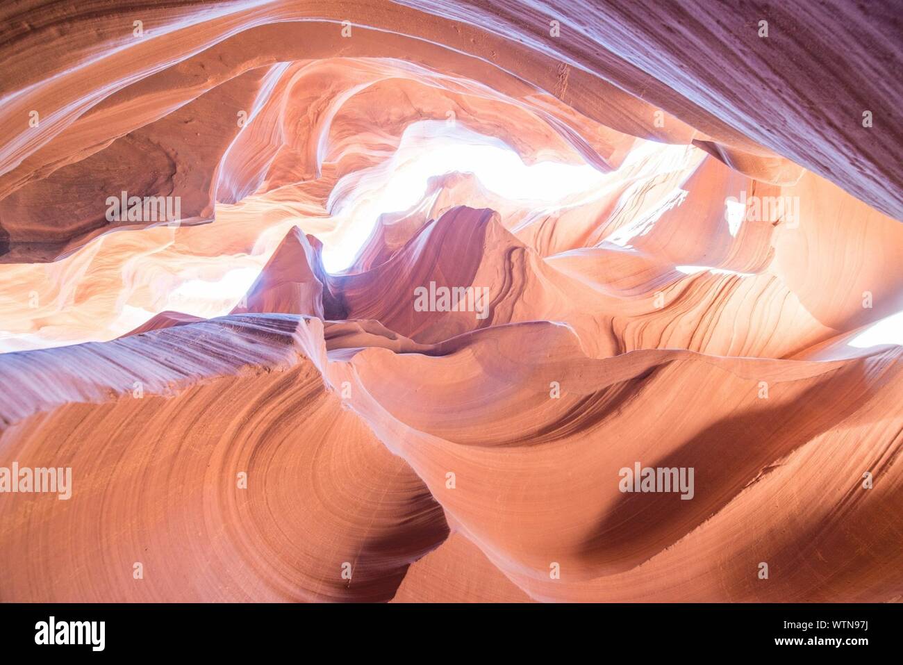 Close up patterns hi-res stock photography and images - Alamy