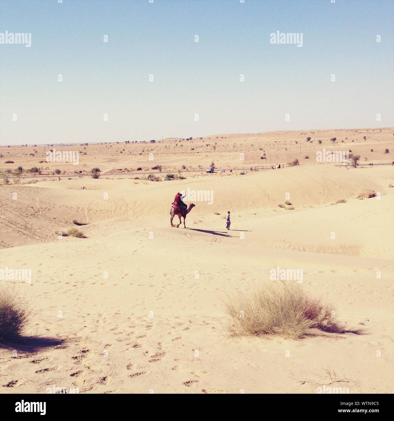 Camel with rider hi-res stock photography and images - Alamy