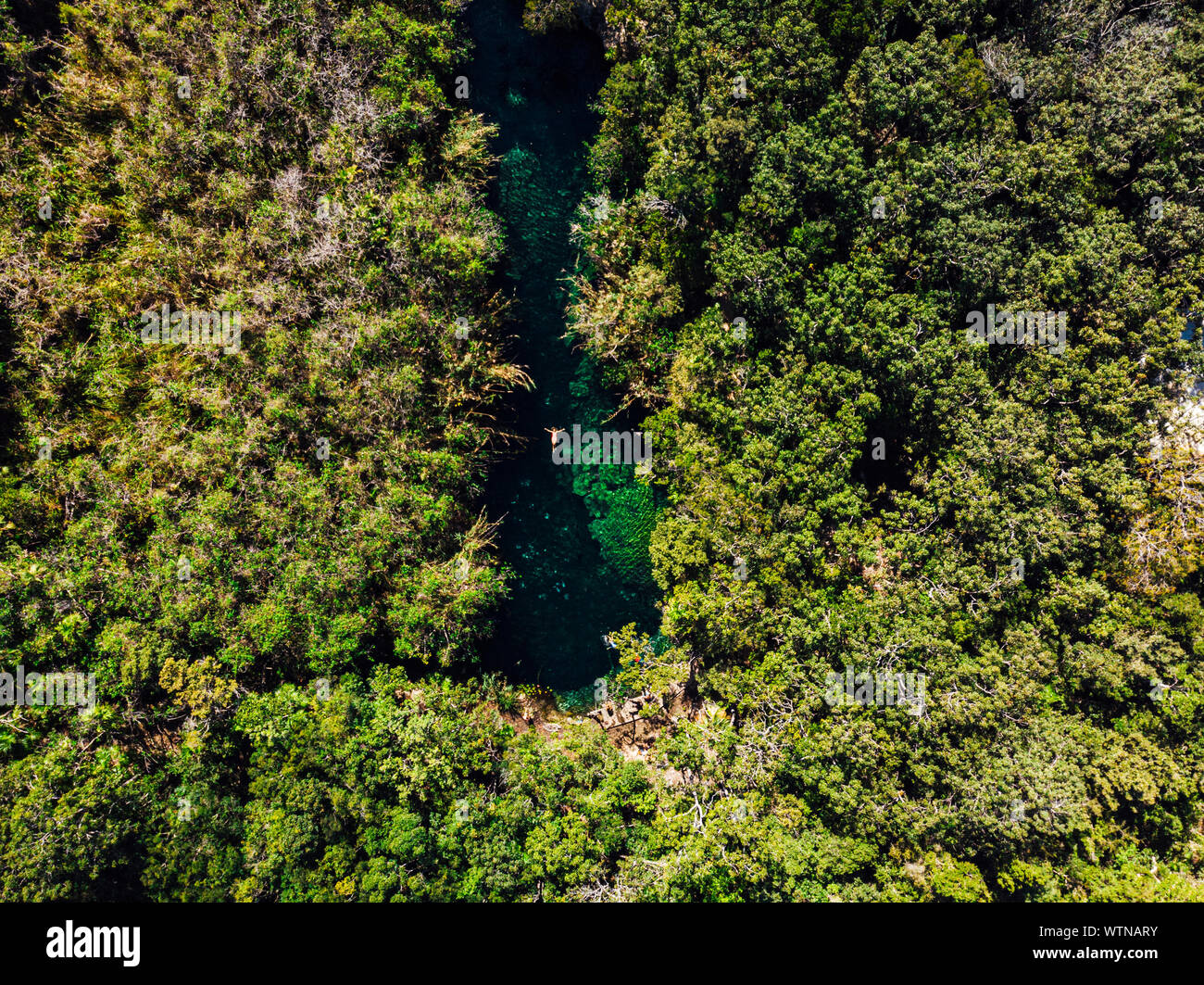 Forest mexico aerial hi-res stock photography and images - Alamy