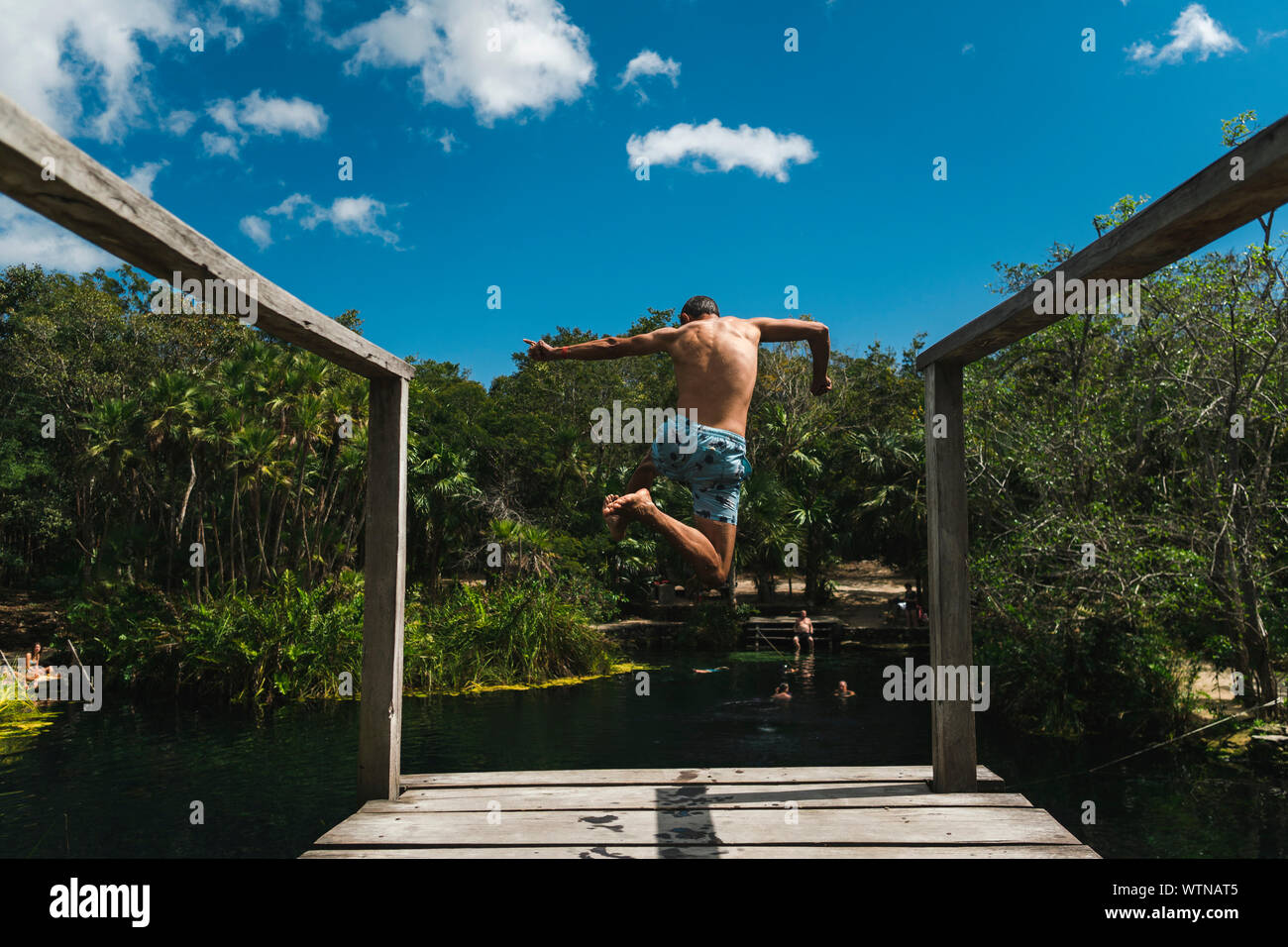 Back view of middle aged male jumping from platform to Cenote Crystal ...