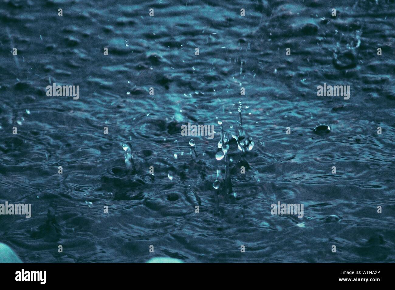 Raindrops on puddle hi-res stock photography and images - Alamy