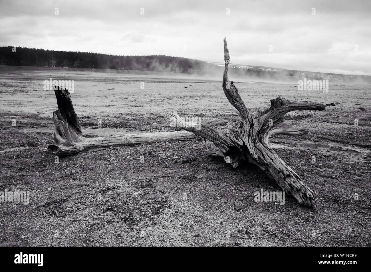 Dry scenery hi-res stock photography and images - Alamy