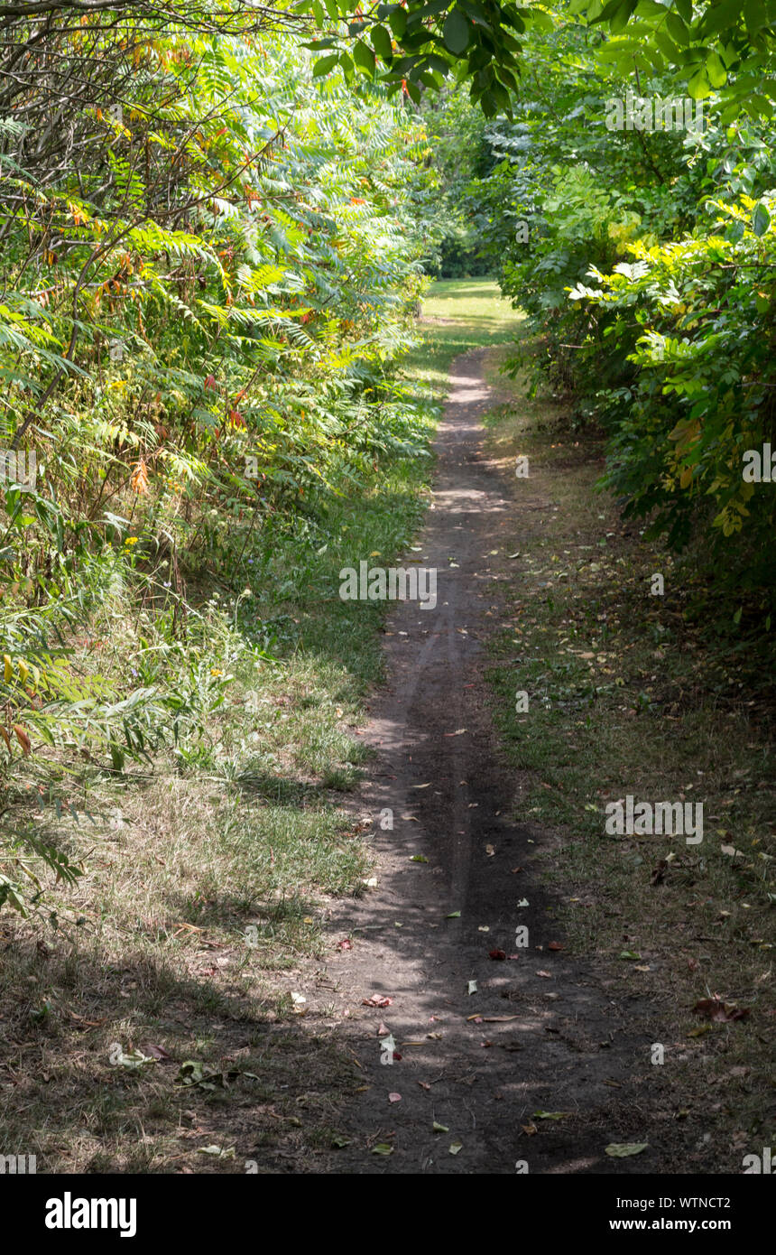 Secret trail hi-res stock photography and images - Alamy