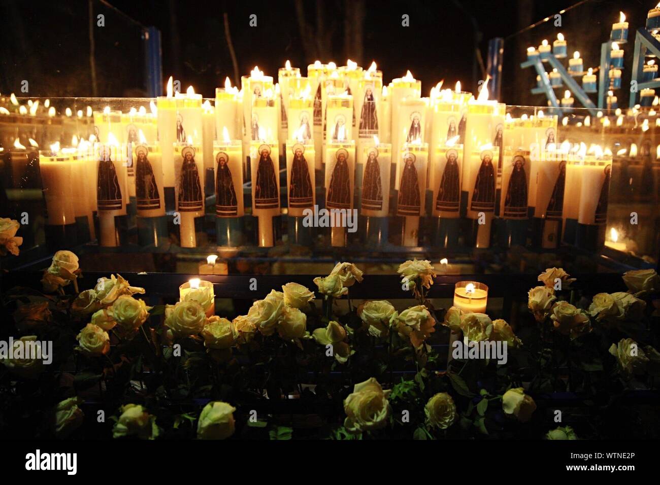 Rose night light hi-res stock photography and images - Alamy
