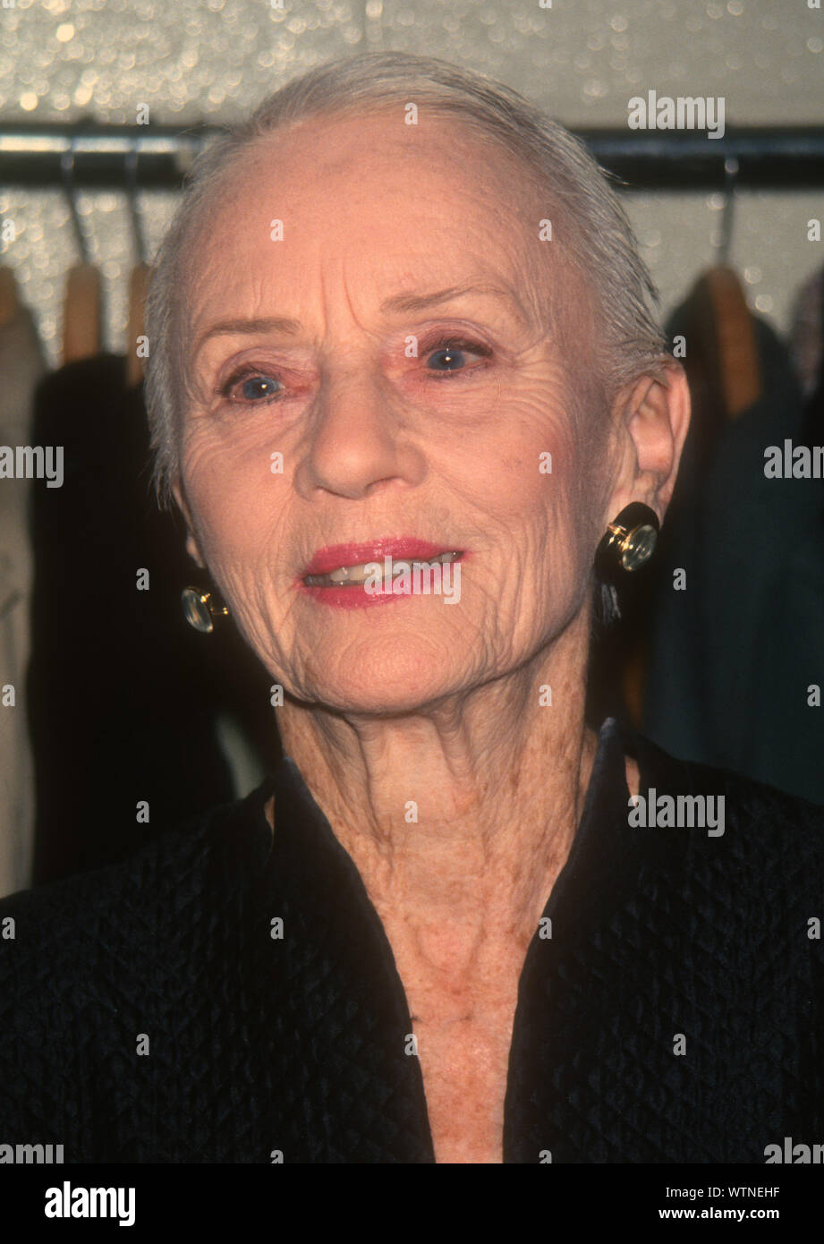 Jessica Tandy, 1993, Photo By John Barrett/PHOTOlink / MediaPunch Stock ...