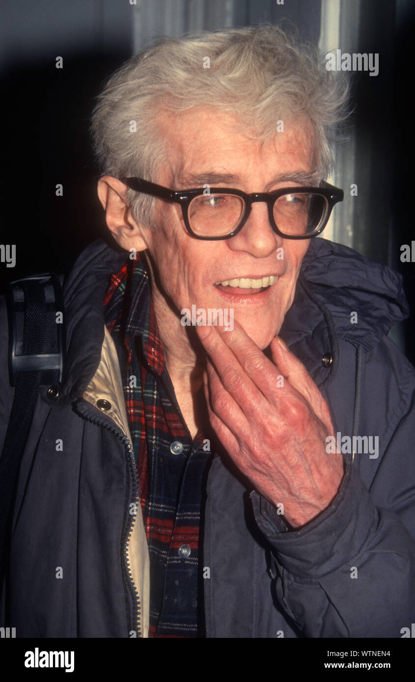 William HIckey, 1992, Photo By John Barrett/PHOTOlink / MediaPunch ...