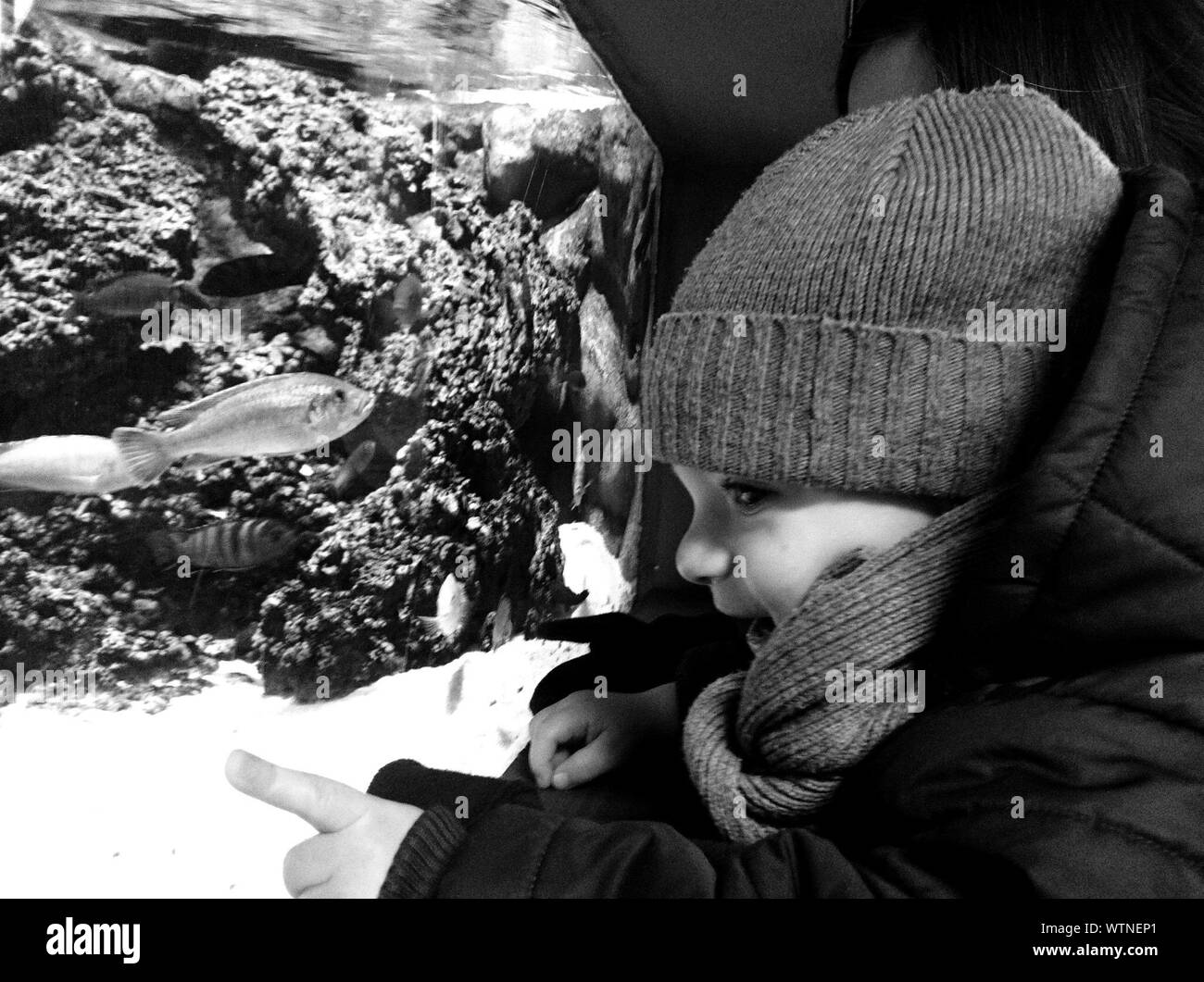 Family swimming with fish hi-res stock photography and images - Alamy